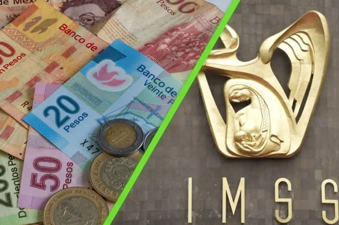 Modalidad 40 del IMSS: qué es, quién puede ingresar y cómo se hace el ...